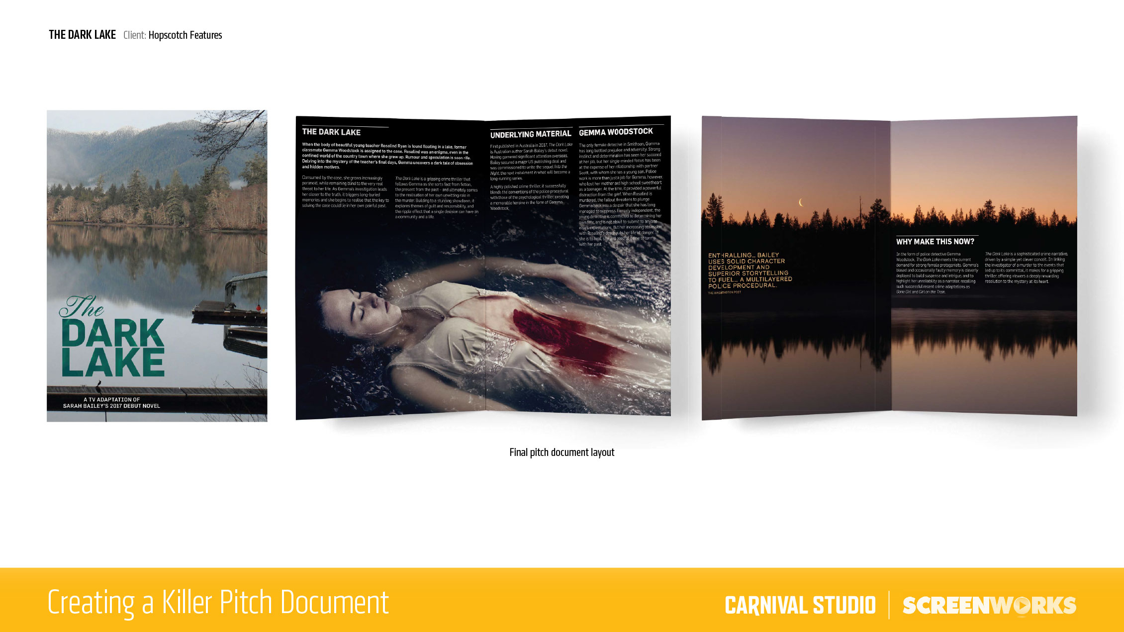 DESIGNING A KILLER PITCH DOCUMENT - Carnival Studio